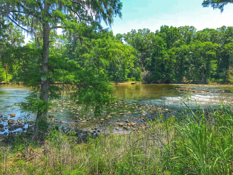 Things To Do In Albany GA: 11 Best Family-Friendly Destinations