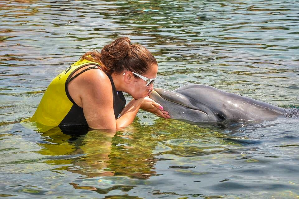 Discovery Cove Guide: Everything You Need To Know