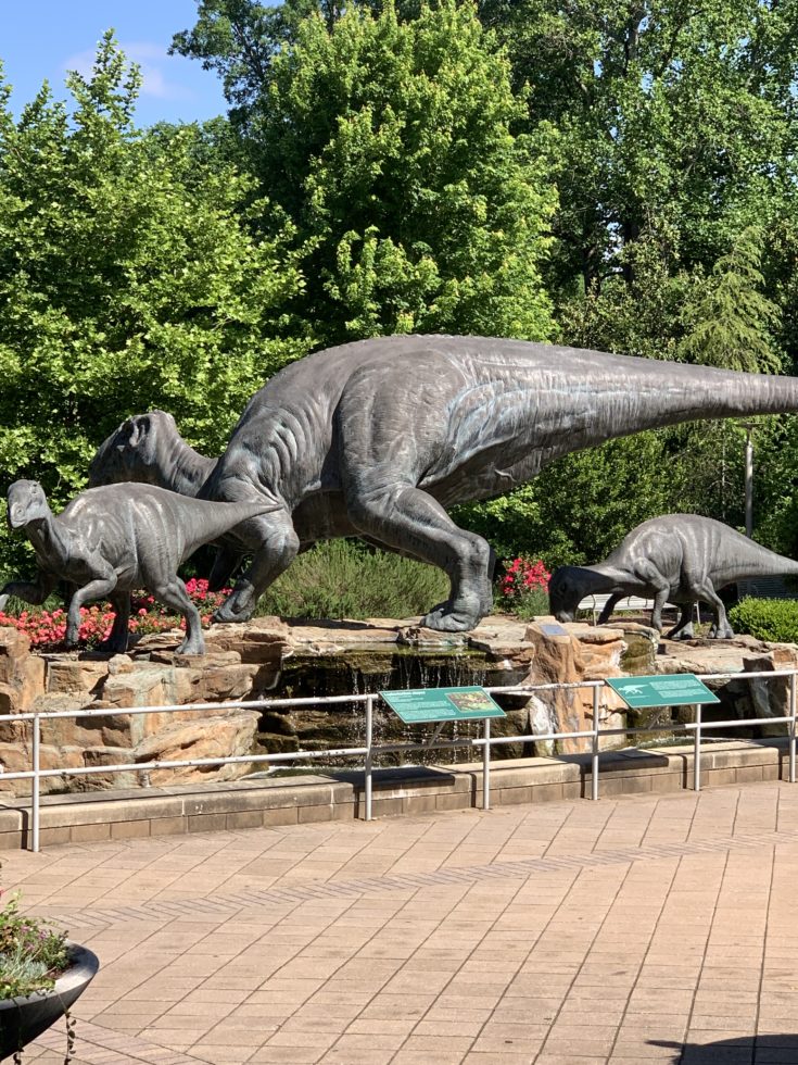 The Fernbank Museum of Natural History: An Atlanta Must-Do