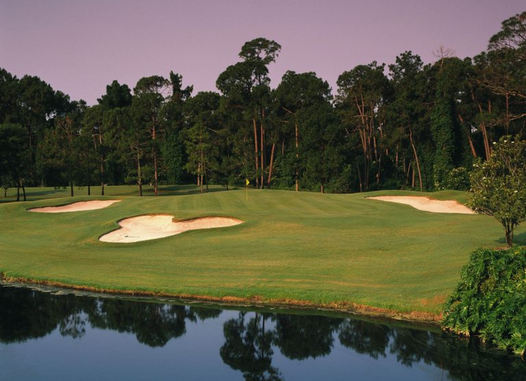 Disney World Golf: From Playing Like A Pro To Miniature Golf Fun