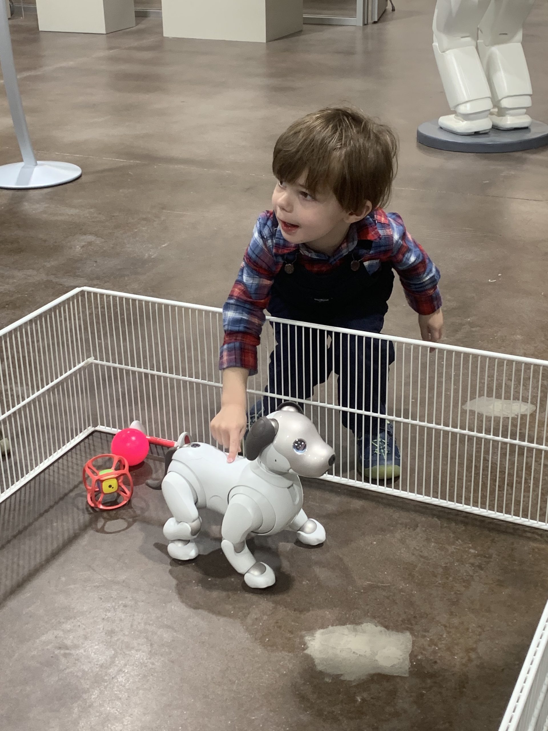 The Computer Museum Of America: Digital Fun For All In Roswell, GA