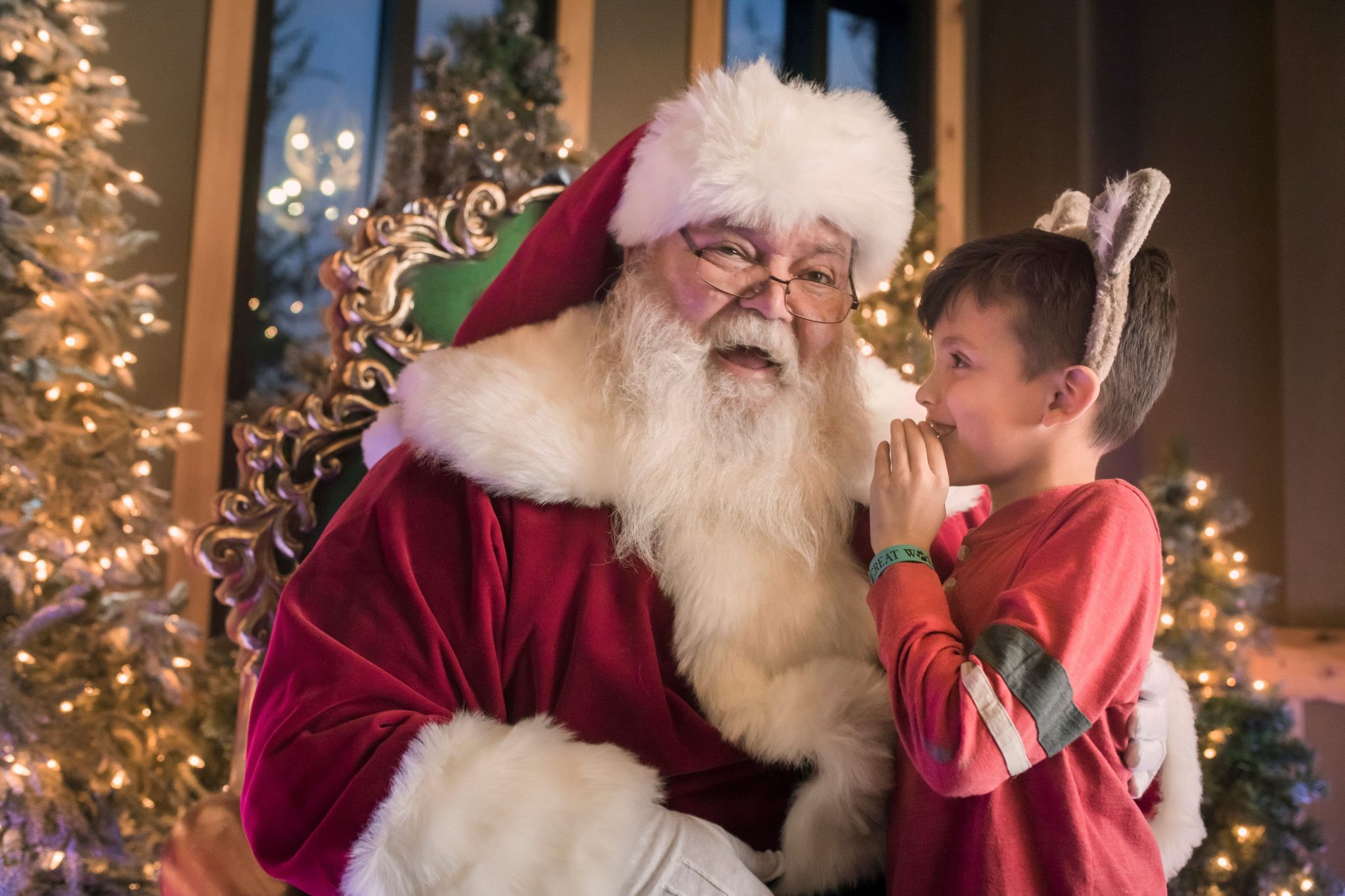Snowland: Must-Do Great Wolf Lodge Christmas Event