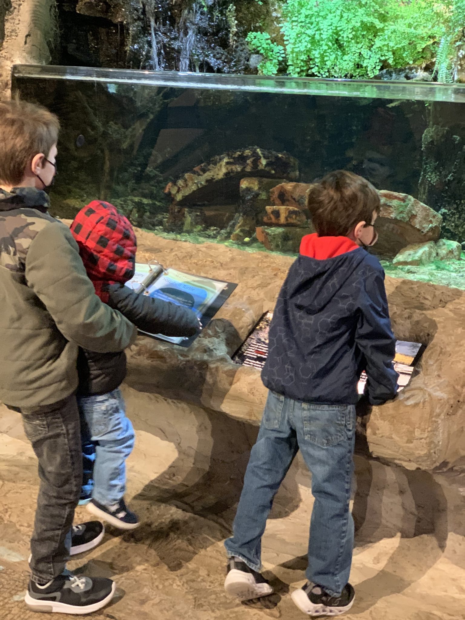 4 Awesome Kids Activities At Sandy Creek Nature Center (Athens, GA)
