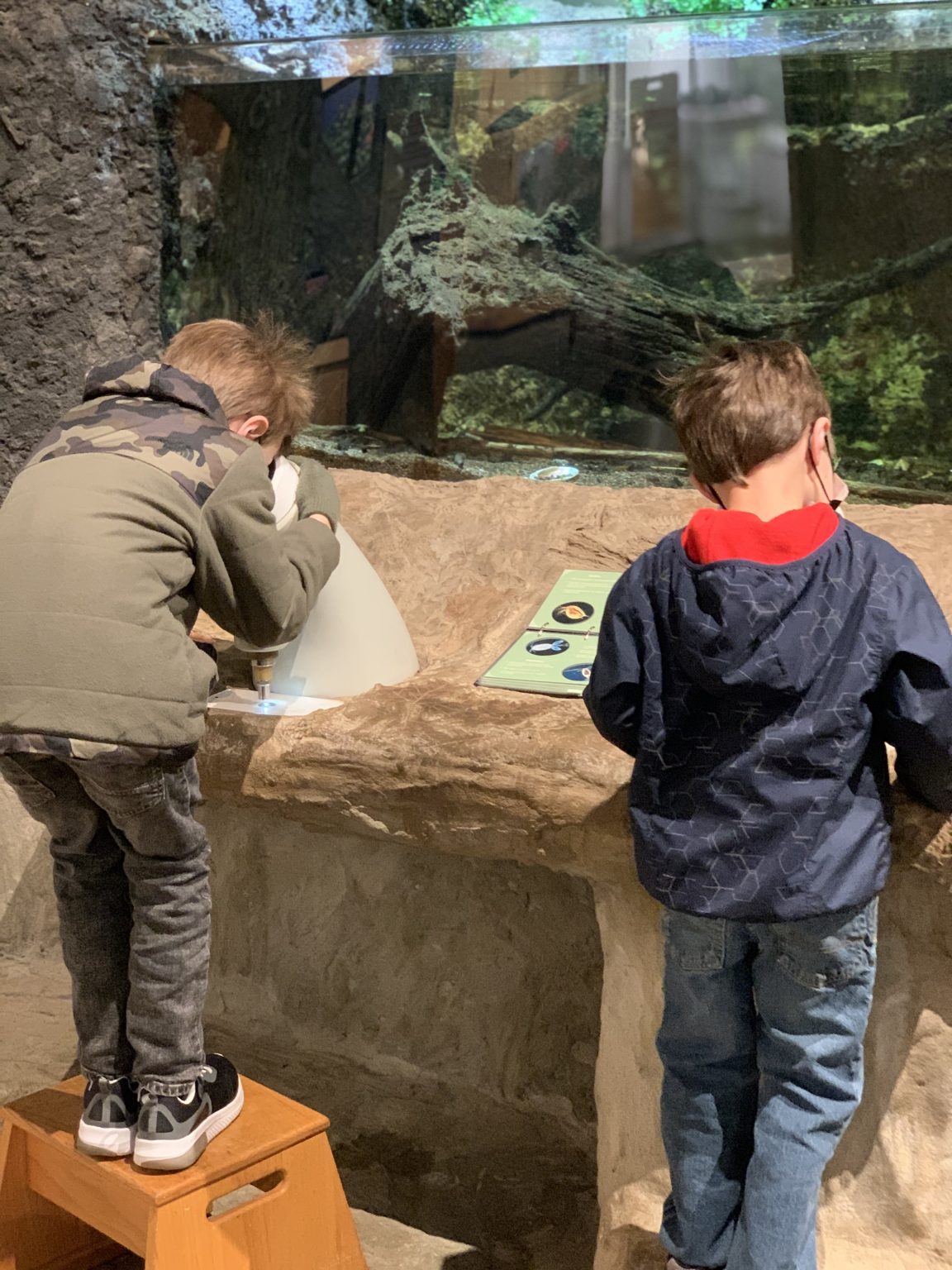 4 Awesome Kids Activities At Sandy Creek Nature Center (Athens, GA)
