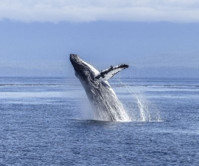 21 Family-Friendly Virginia Beach Attractions That Kids Will Love