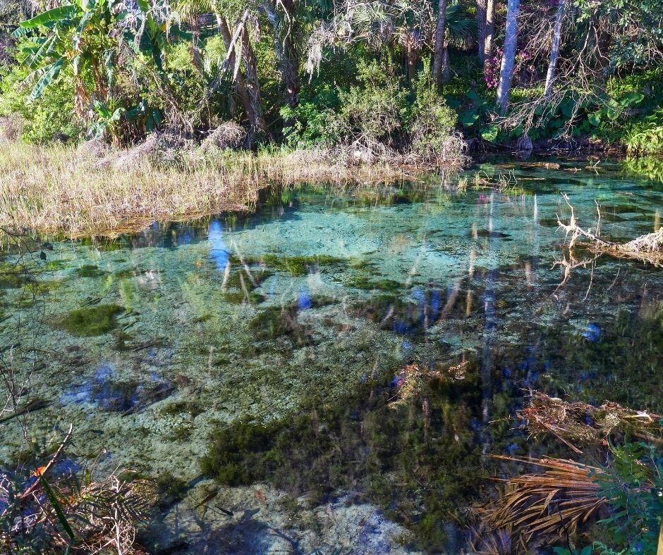 7 Bucket List Florida Places To Visit With Kids