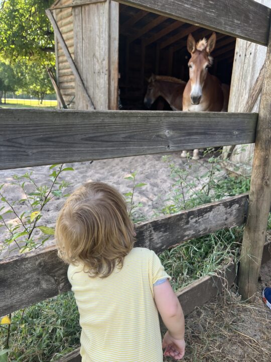 Jimmy Carter National Historical Park: Guide To Bringing Kids