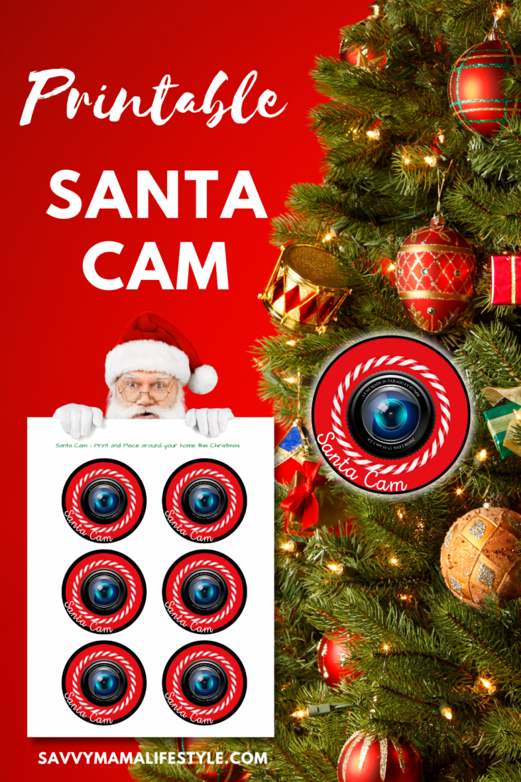 FREE Santa Cam Printable PDF