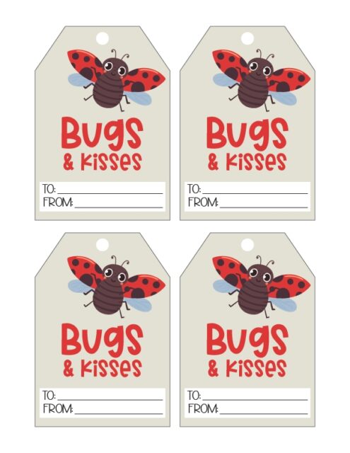 FREE Printable Love Bug Valentines PDF