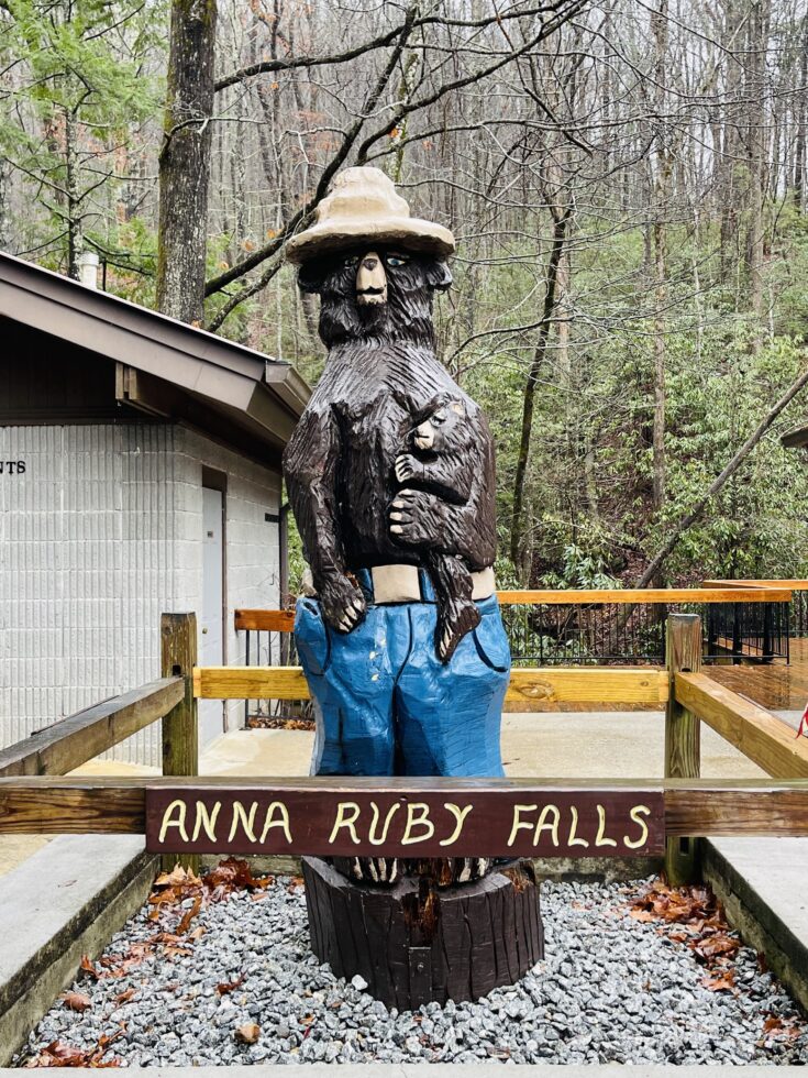 Beginner Family Hiking Tips For Anna Ruby Falls