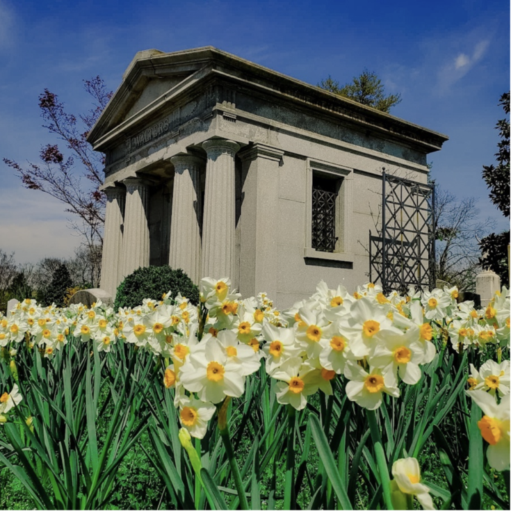 Atlanta's Oakland Cemetery With Kids: Tips For Planning A Visit