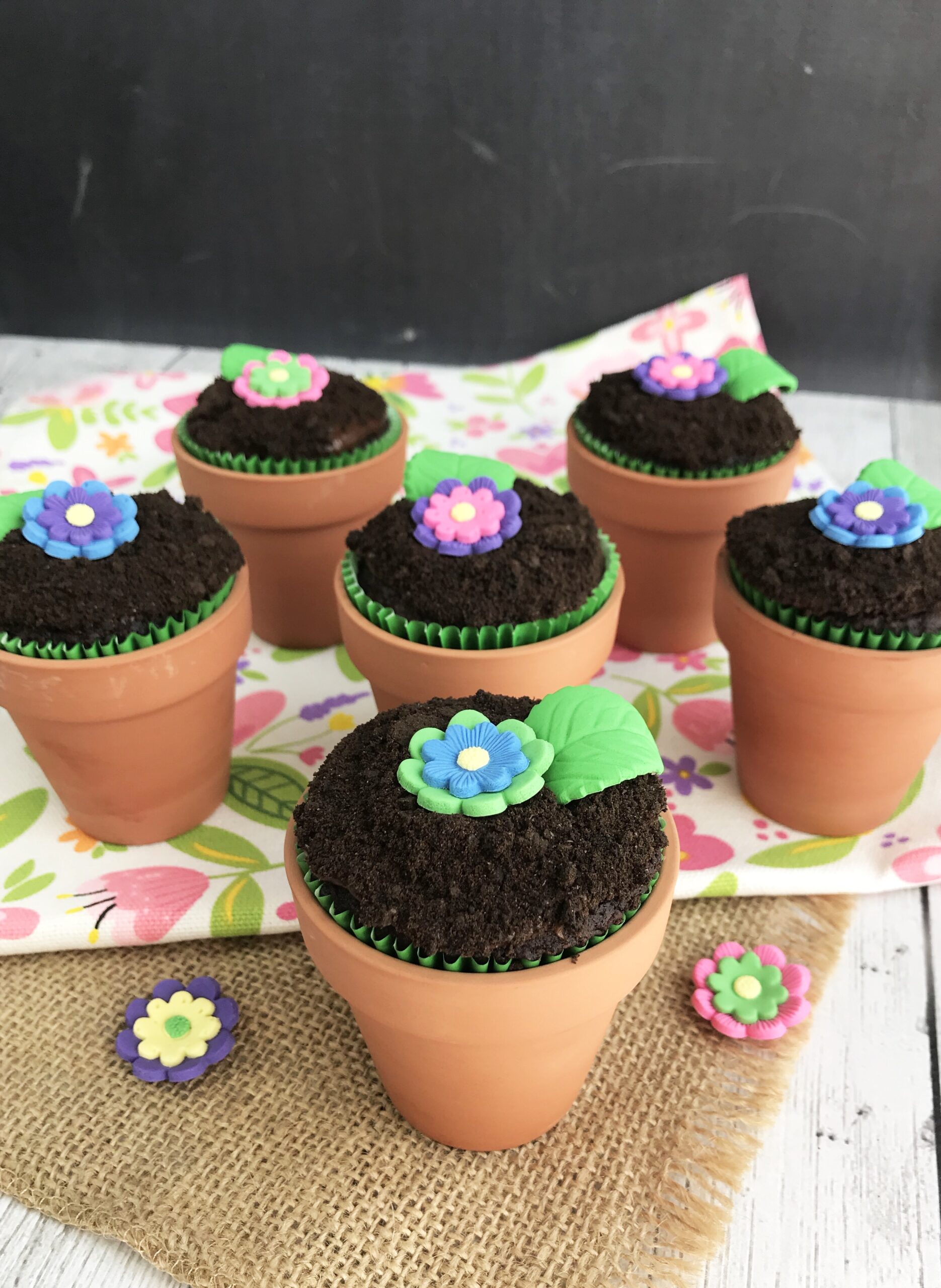 Chocolate Flower Pot Cupcakes