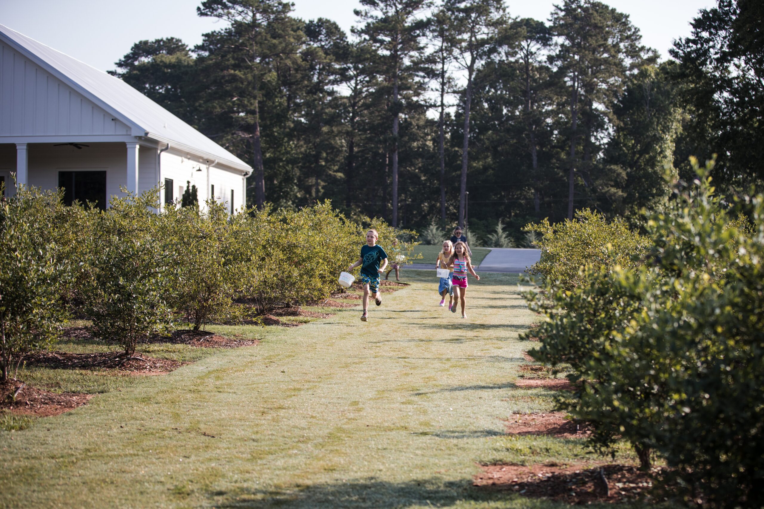 13 Best Outdoor Adventures In Oconee County GA