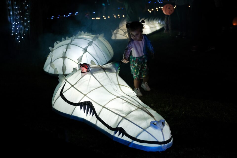 Georgia Hidden Gems: Top 7 Things To In Sandy Springs With Kids