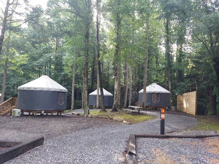 Find Your Wilderness Oasis at Roamstead in the Great Smoky Mountains ...