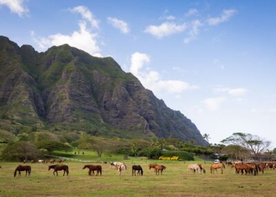 10 Authentic Dude Ranches For The Ultimate Western Experience