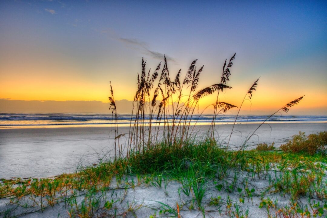 13 Epic Daytona Beach Adventures The Family Will Love