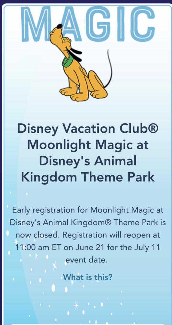 What Is DVC Moonlight Magic? And Why You Want To Attend