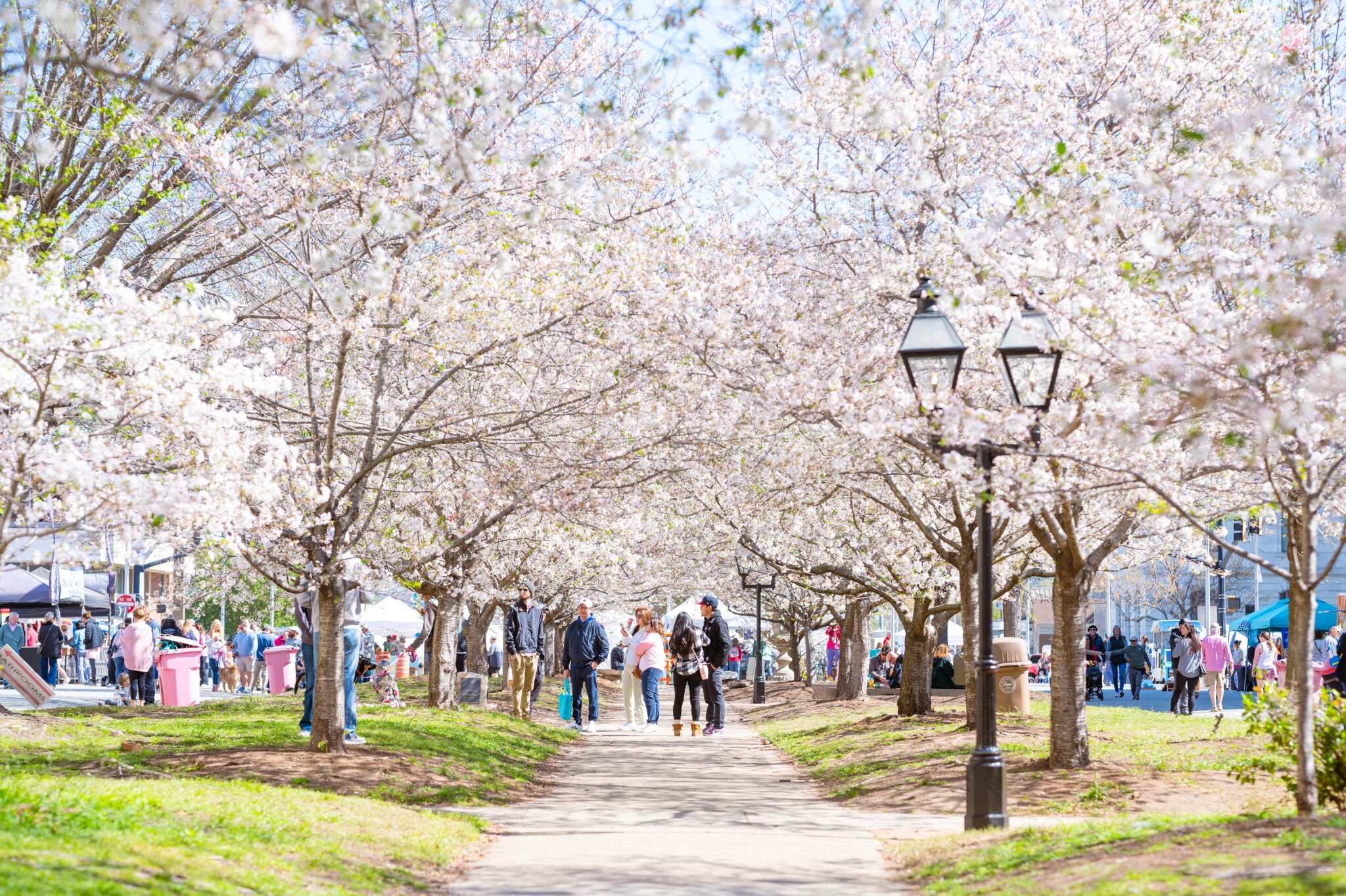 7 Must Do Events at Macon's International Cherry Blossom Festival
